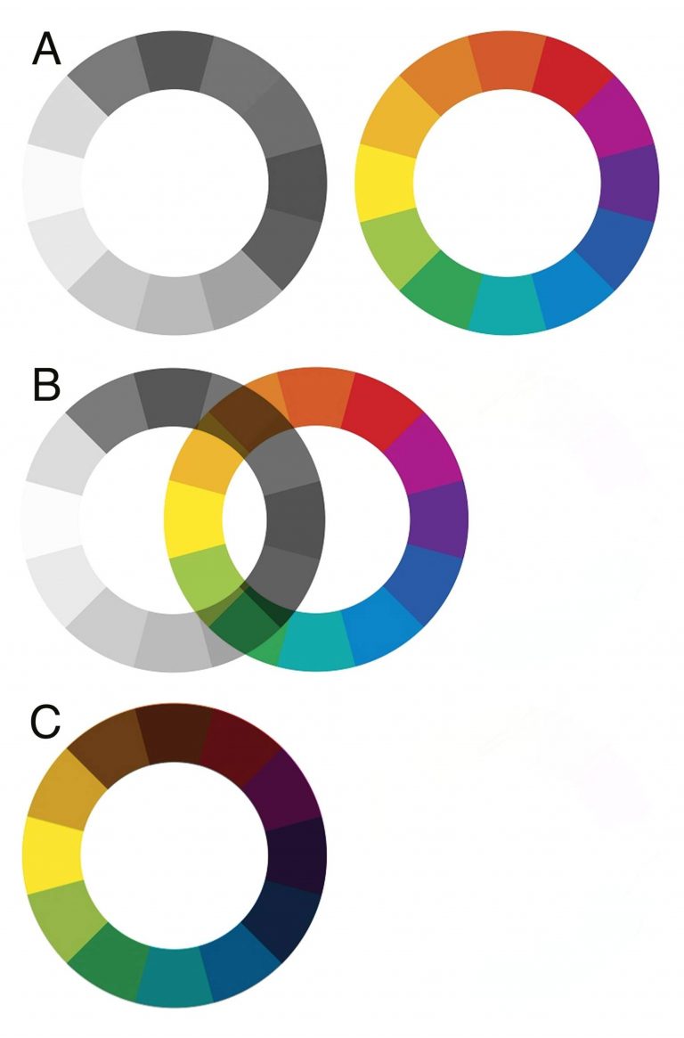 The many shades of greyscale | Lisa Mitrokhin